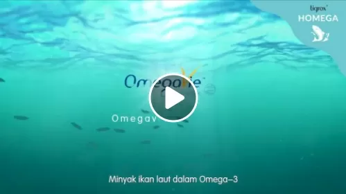 Tigrox Homega Fish Oil | Resources | Heal2u (Malaysia)